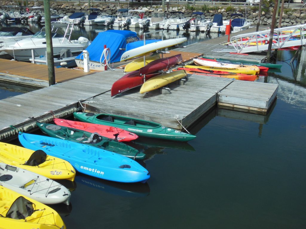 use of shallow water | Marina Dock Age