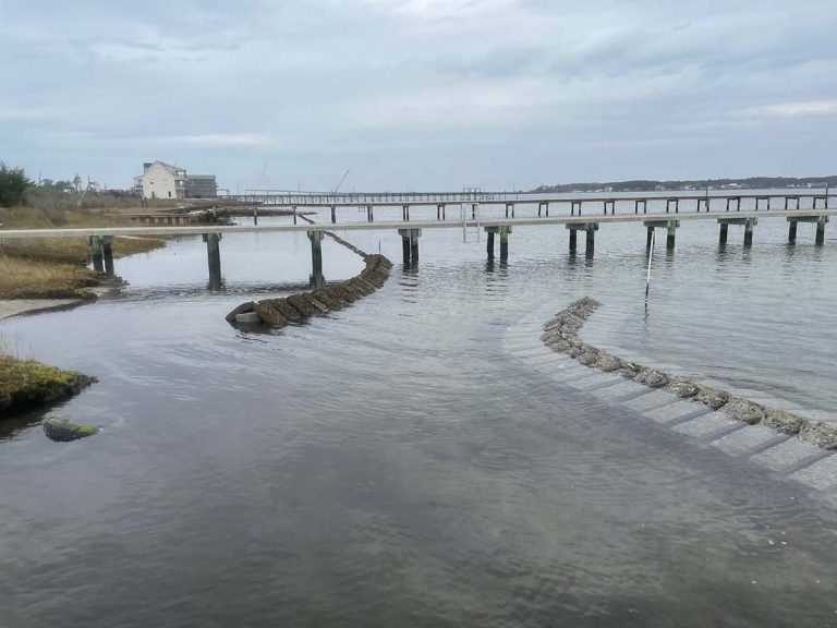 Adding Life to Shorelines | Marina Dock Age