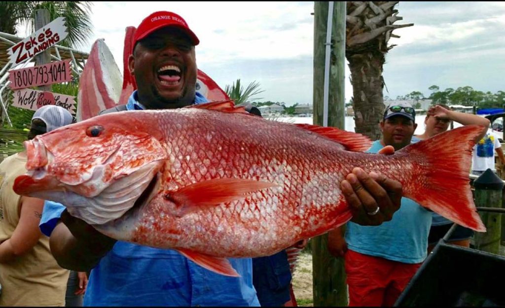 zekes | Marina Dock Age