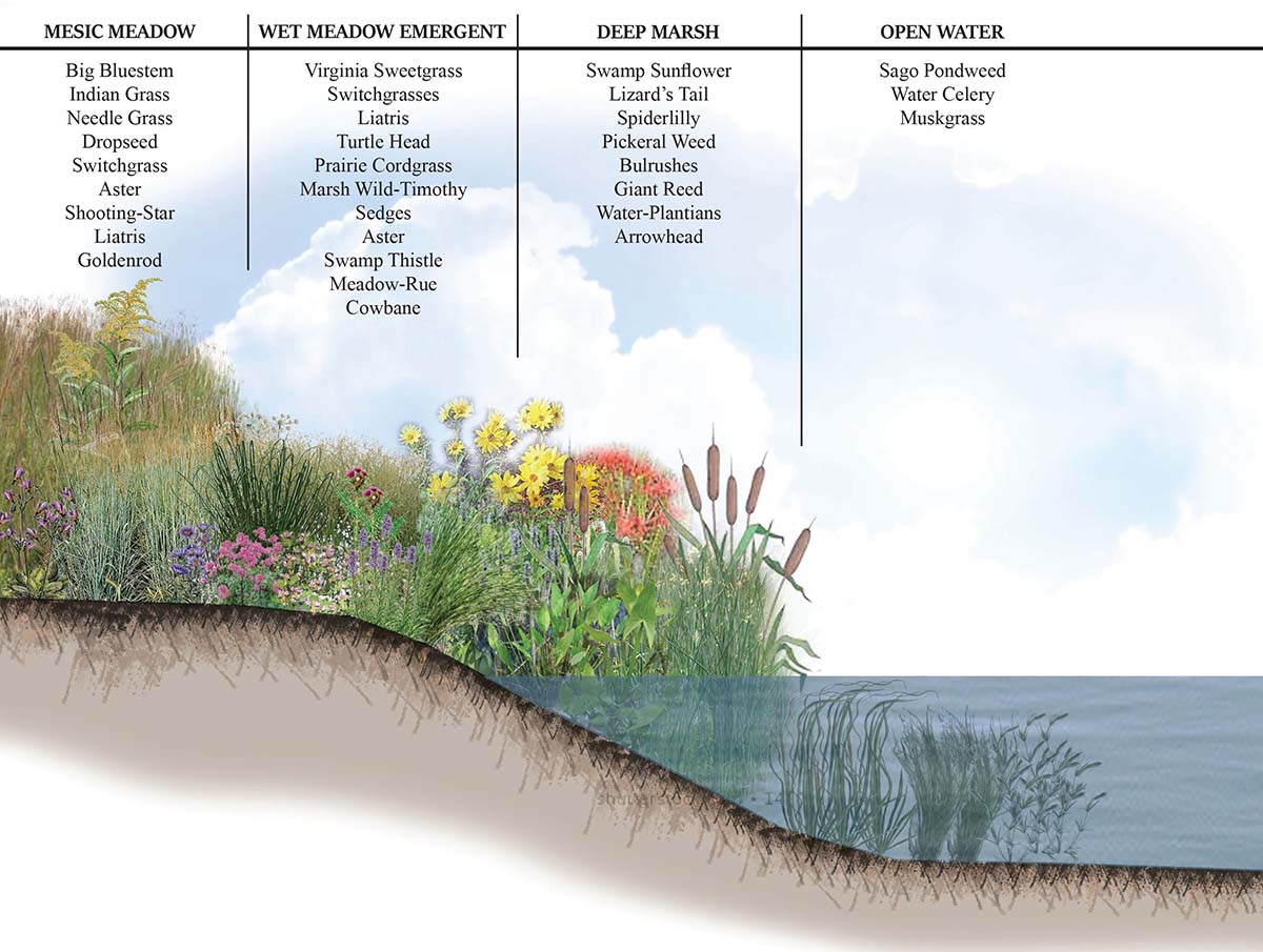 Anchoring Pollution: Marina BMPs for Stormwater Site Design, Conveyance ...