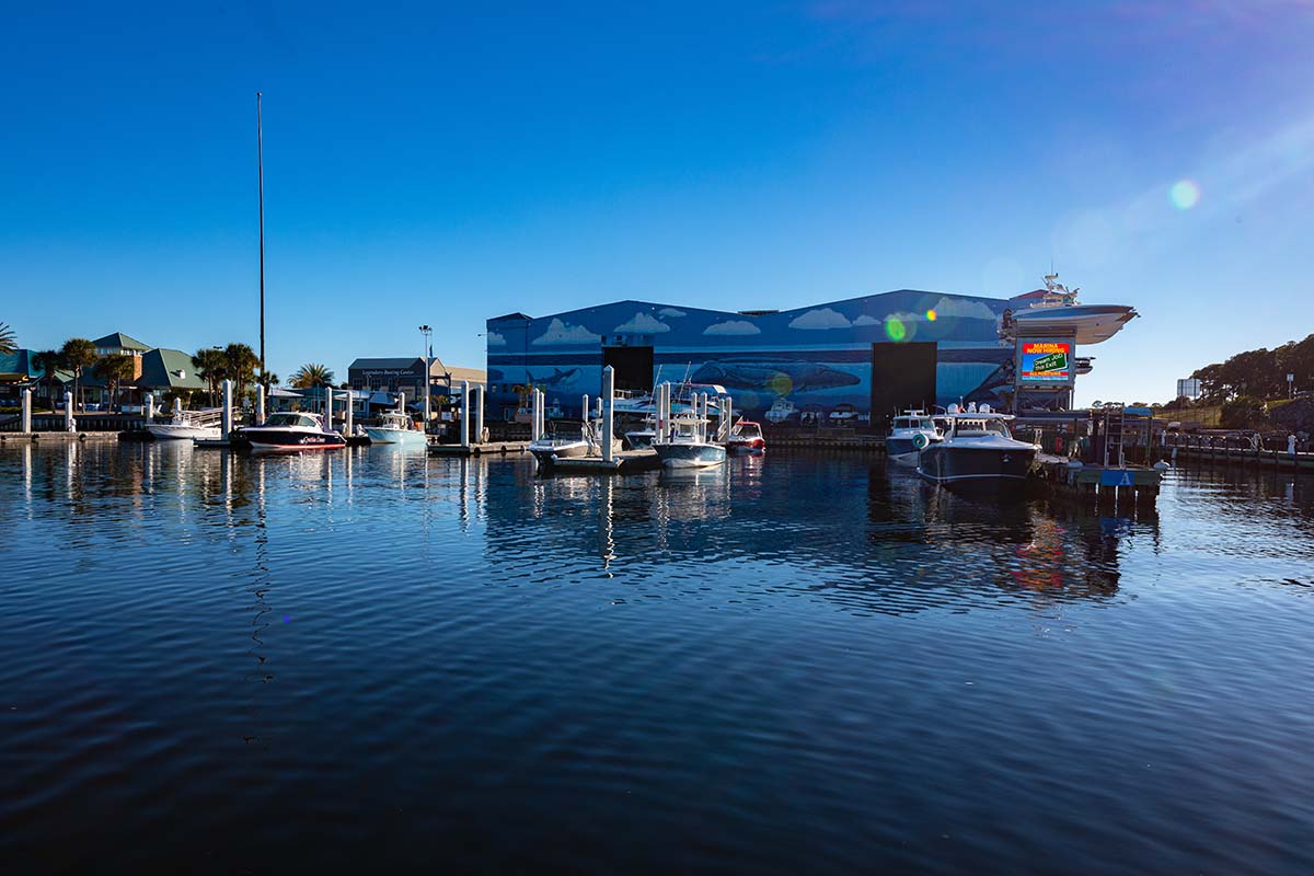 Legendary Marina Learns the Key to Success | Marina Dock Age